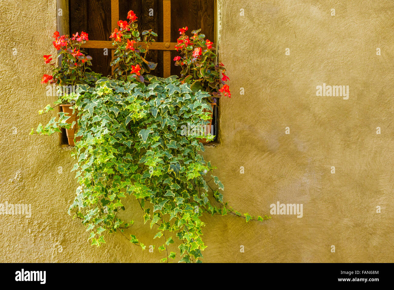 flowering window box, Tuscany Stock Photo - Alamy