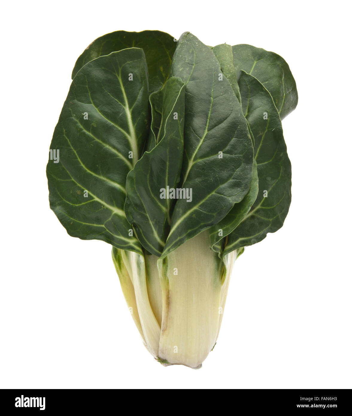 Fresh organic Chard leaves on a white background Stock Photo - Alamy