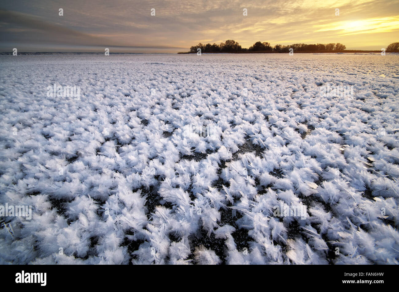 Rime on frozen ice. Nature composition Stock Photo - Alamy