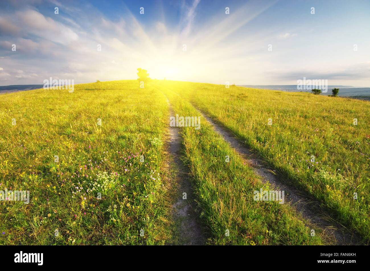 Road lane and deep blue sky. Nature design Stock Photo - Alamy