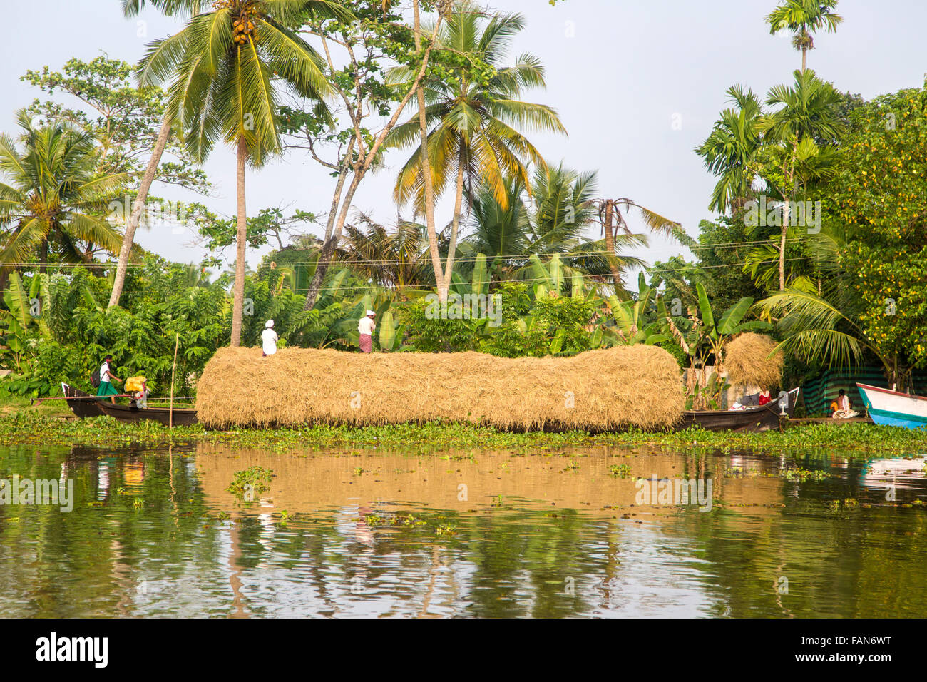 Water nature waterway backwater kerala hi-res stock photography and ...