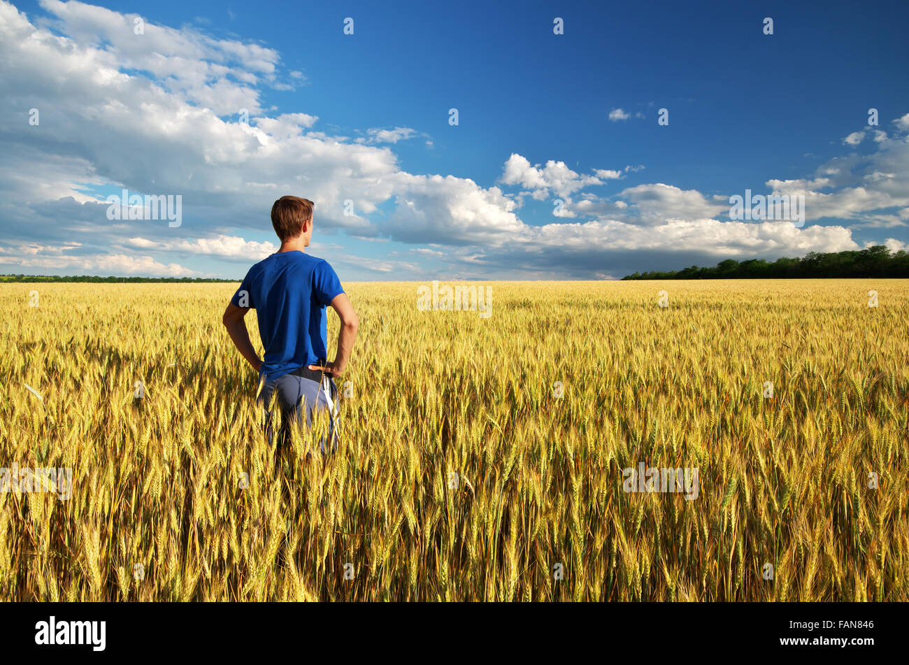 Field wheat man hi-res stock photography and images - Alamy