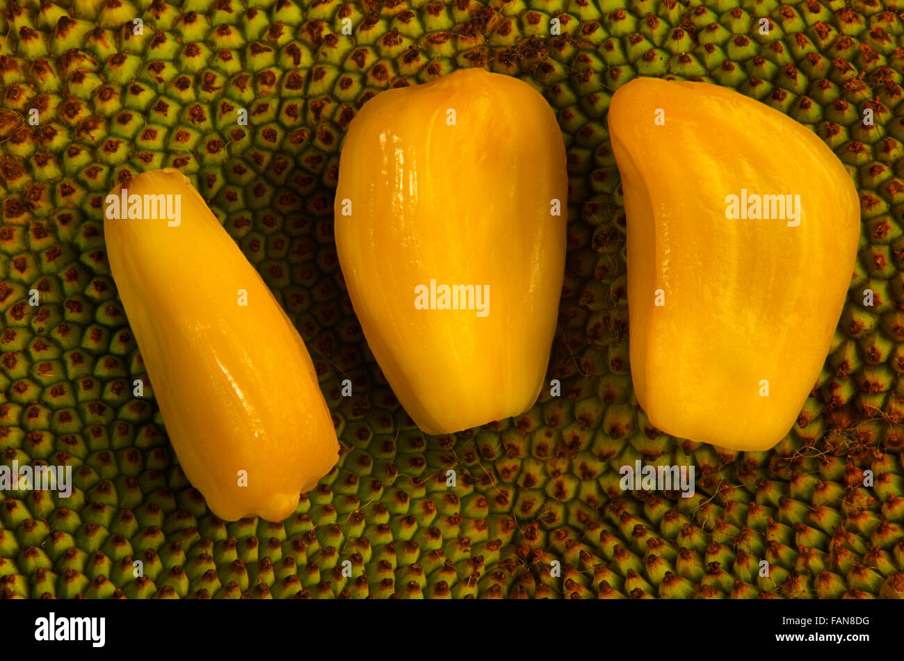 Jackfruit flesh hi-res stock photography and images - Alamy