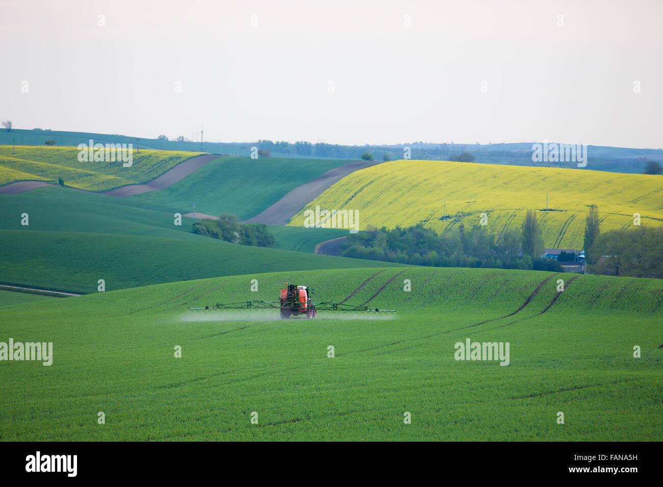 Tractor spraying fields Stock Photo - Alamy