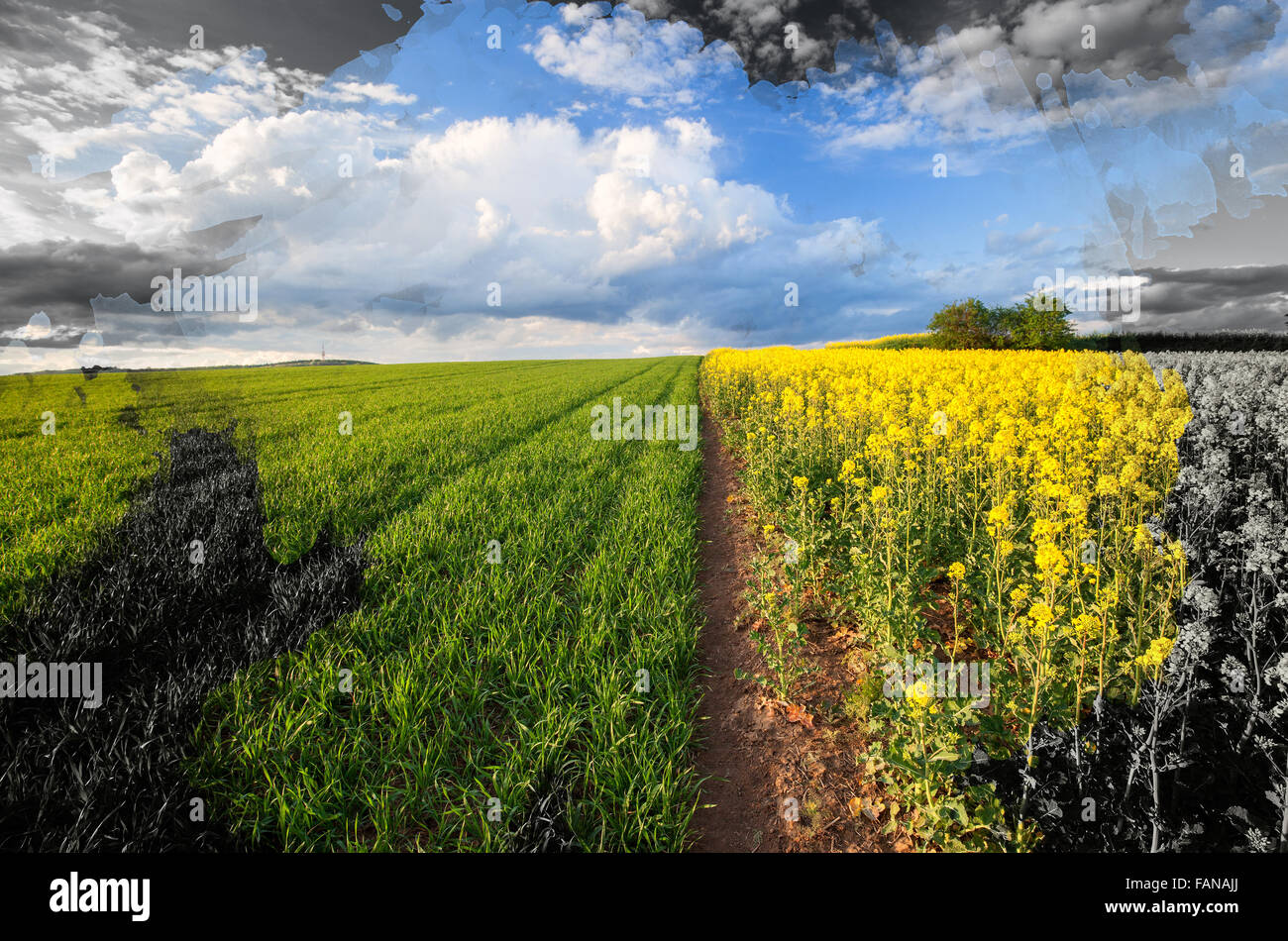 Beautiful summer monochrome and color landscape Stock Photo - Alamy