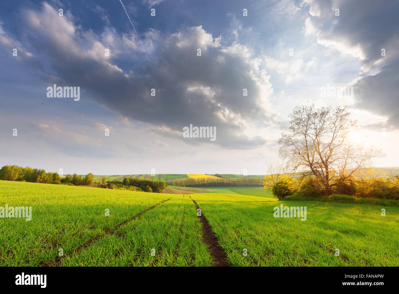 Beautiful sunny landscape Stock Photo - Alamy