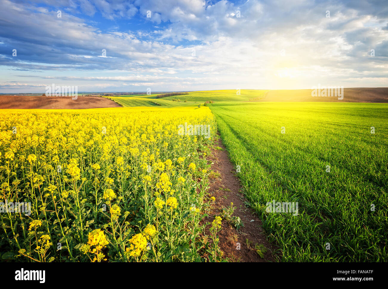 Beautiful sunny landscape Stock Photo - Alamy