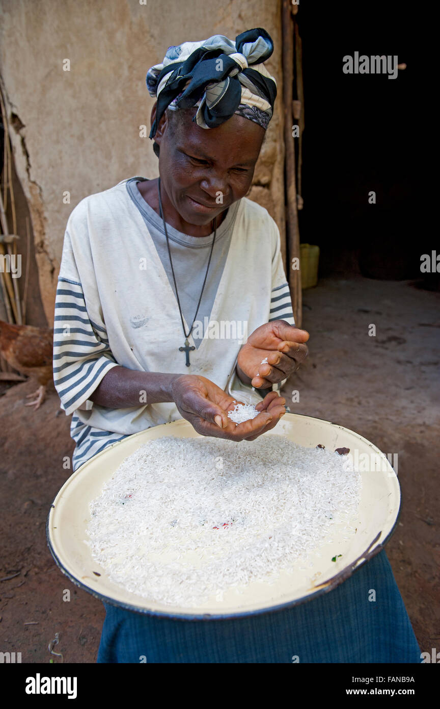 Grain sorting hi-res stock photography and images - Alamy