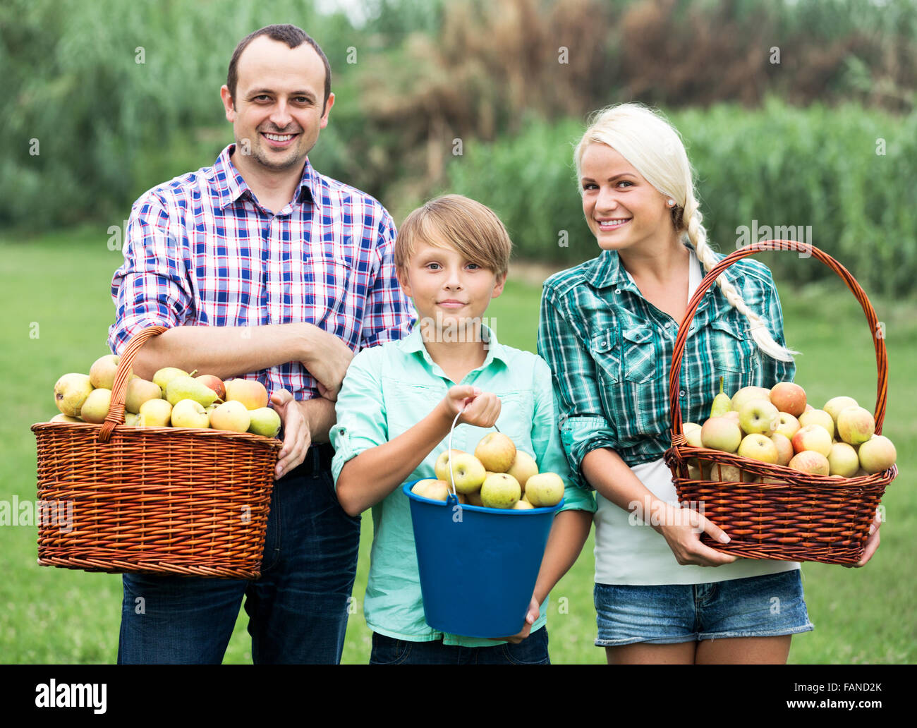 Happy married couple and their son posing with baskets full of apples ...