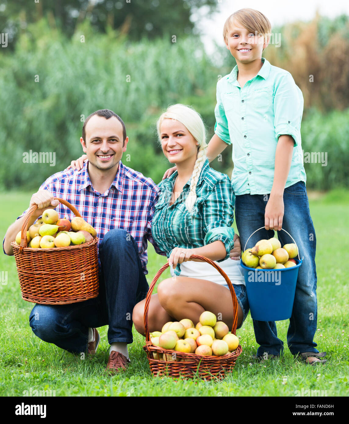 Smiling family harvesting apples in summer garden Stock Photo - Alamy