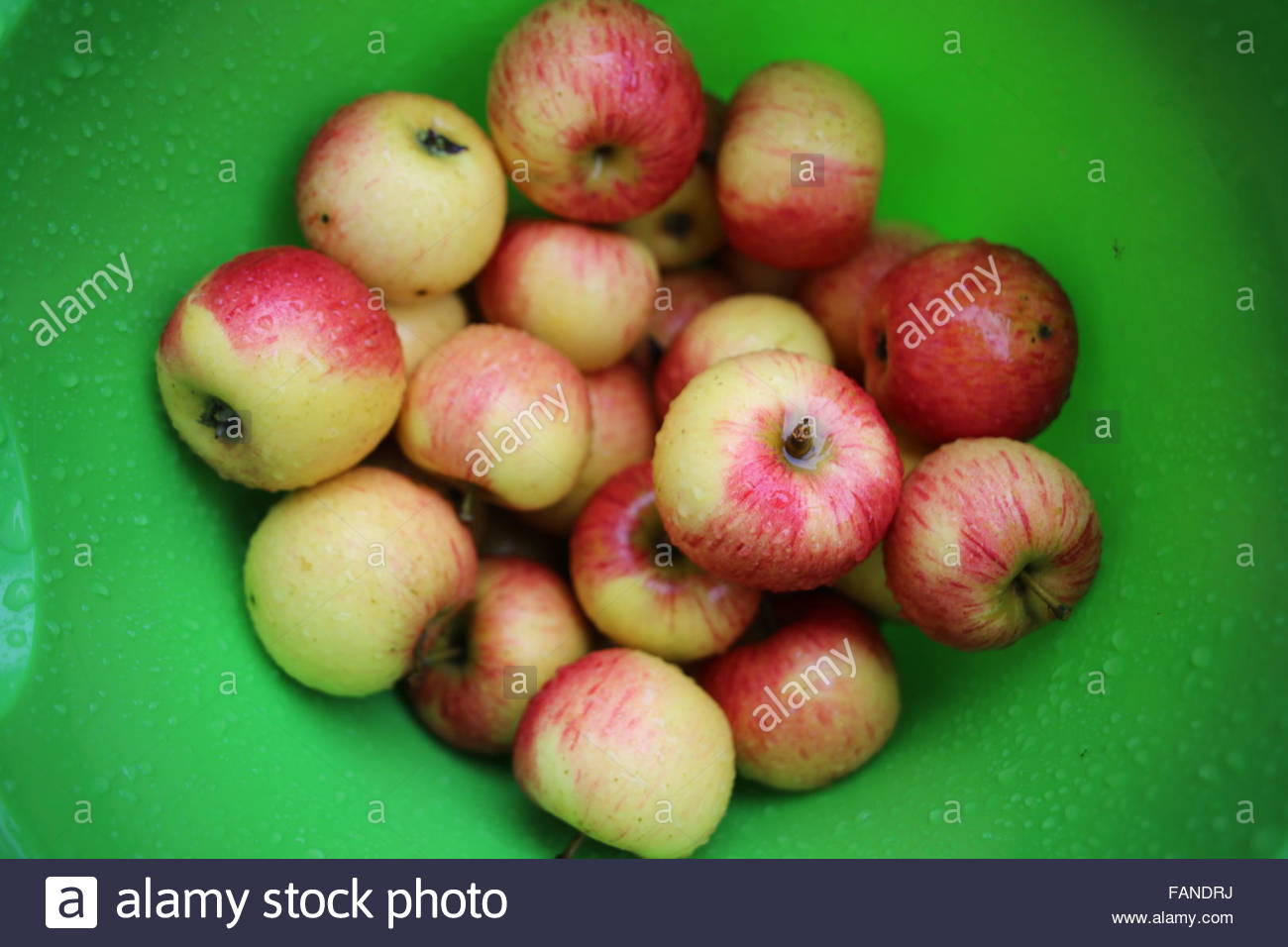 Green bowl of red, delicious apples in good light Stock Photo - Alamy