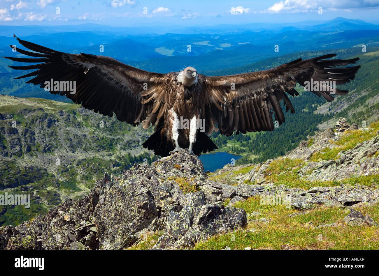 griffin sitting on stone against mountains Stock Photo - Alamy