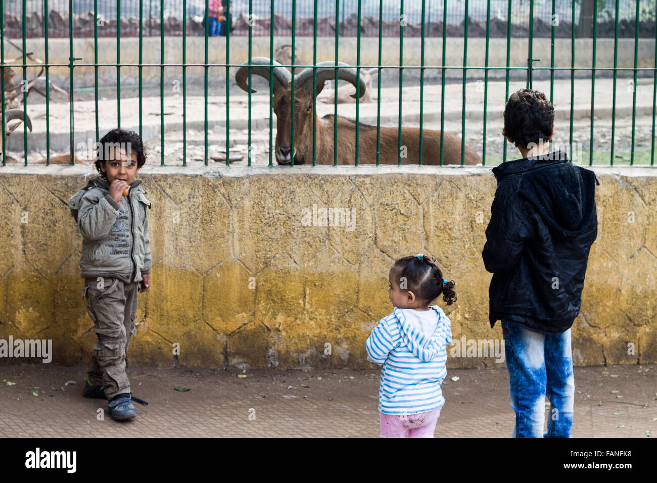 Cairo egypt zoo hi-res stock photography and images - Alamy