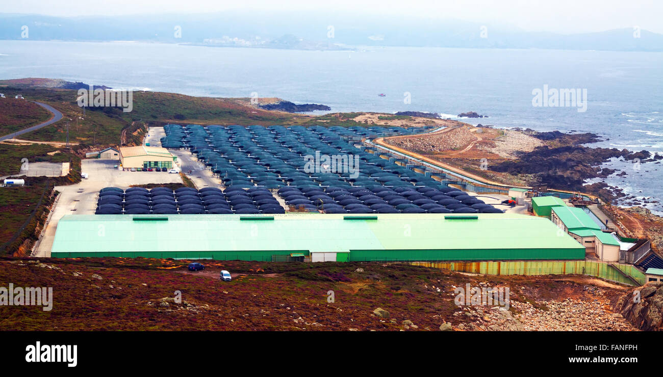 Sea farm for seafood production at coast. Galicia, Spain Stock Photo ...
