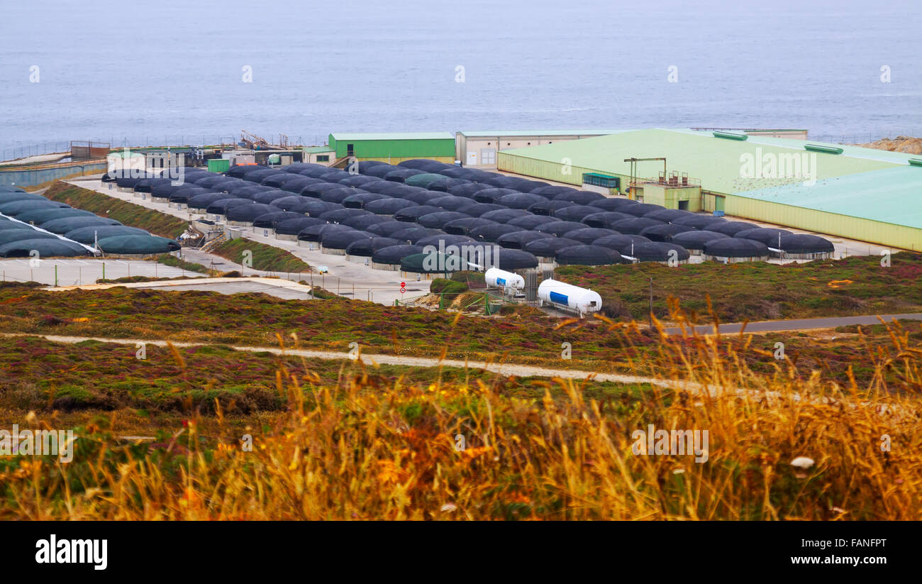 Sea farm for seafood production hi-res stock photography and images - Alamy