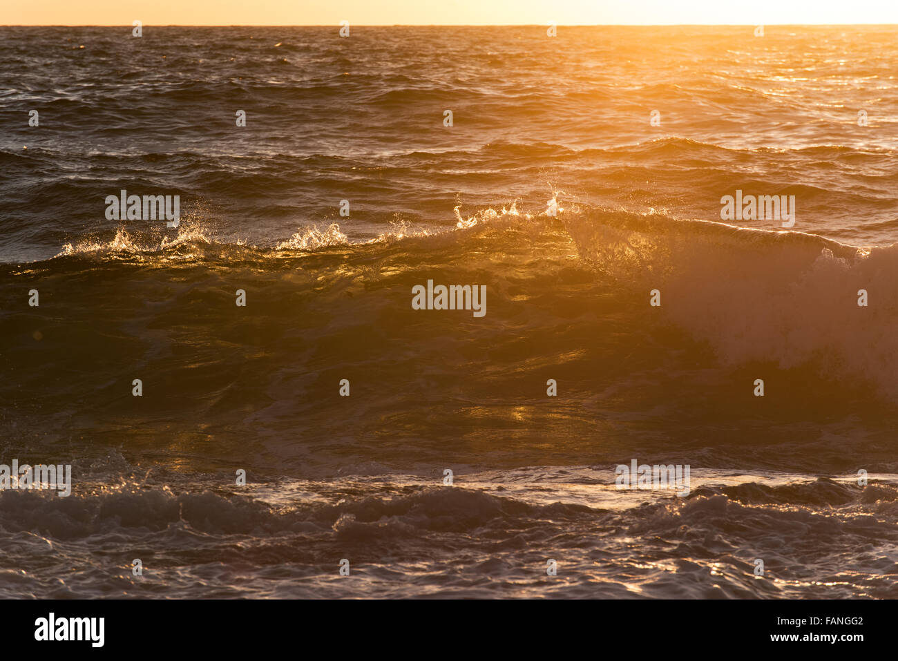 Big transparent ocean waves during sunrise with back light and green ...