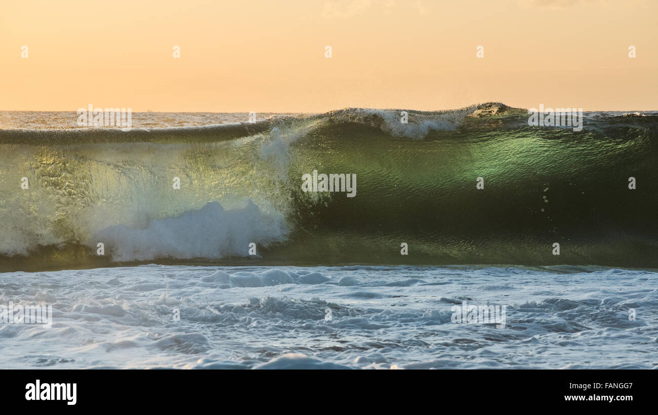 Big transparent ocean waves during sunrise with back light and green ...