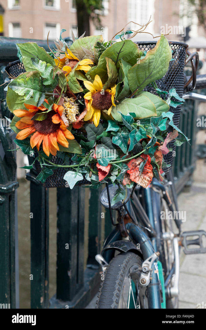 Dutch bicycle with a basket decorated with flowers, Amsterdam, Holland ...