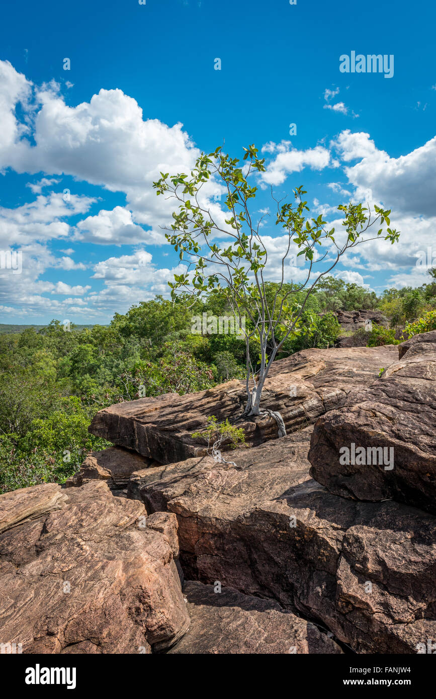 Mitchell rocks hi-res stock photography and images - Alamy