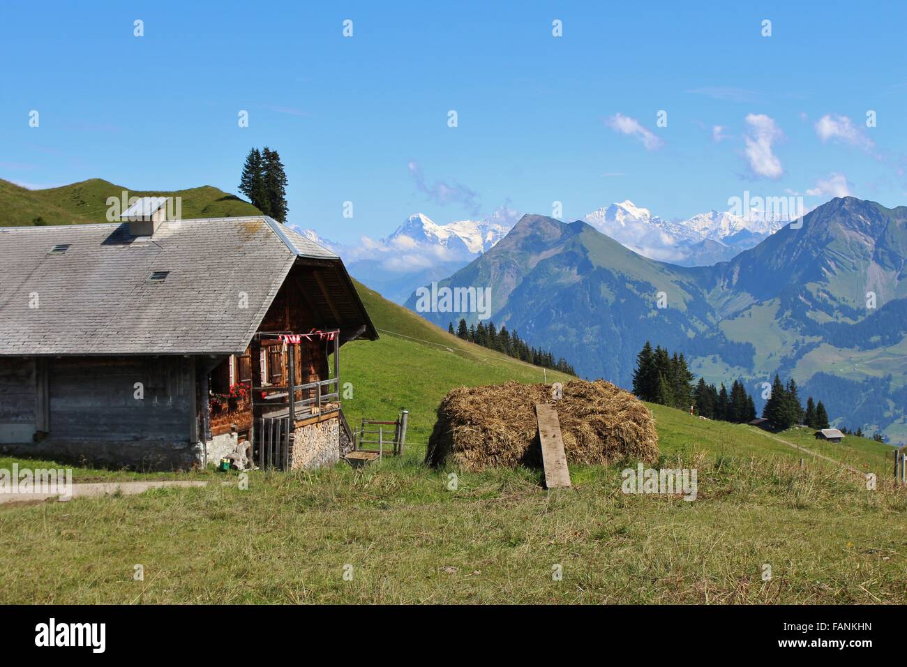 Bernese farmhouse hi-res stock photography and images - Alamy