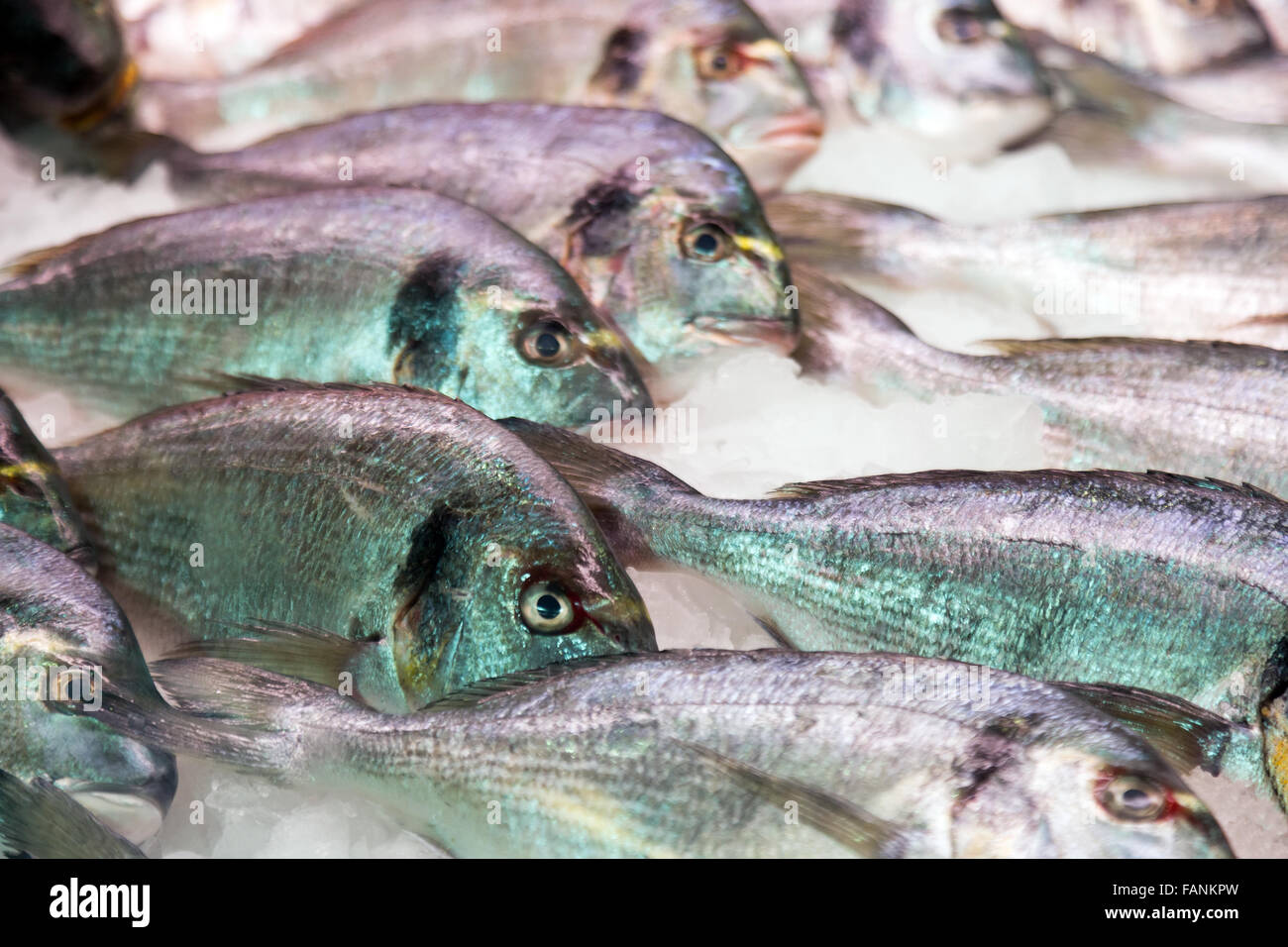 Mediterranean sea bream fish market hi-res stock photography and images ...