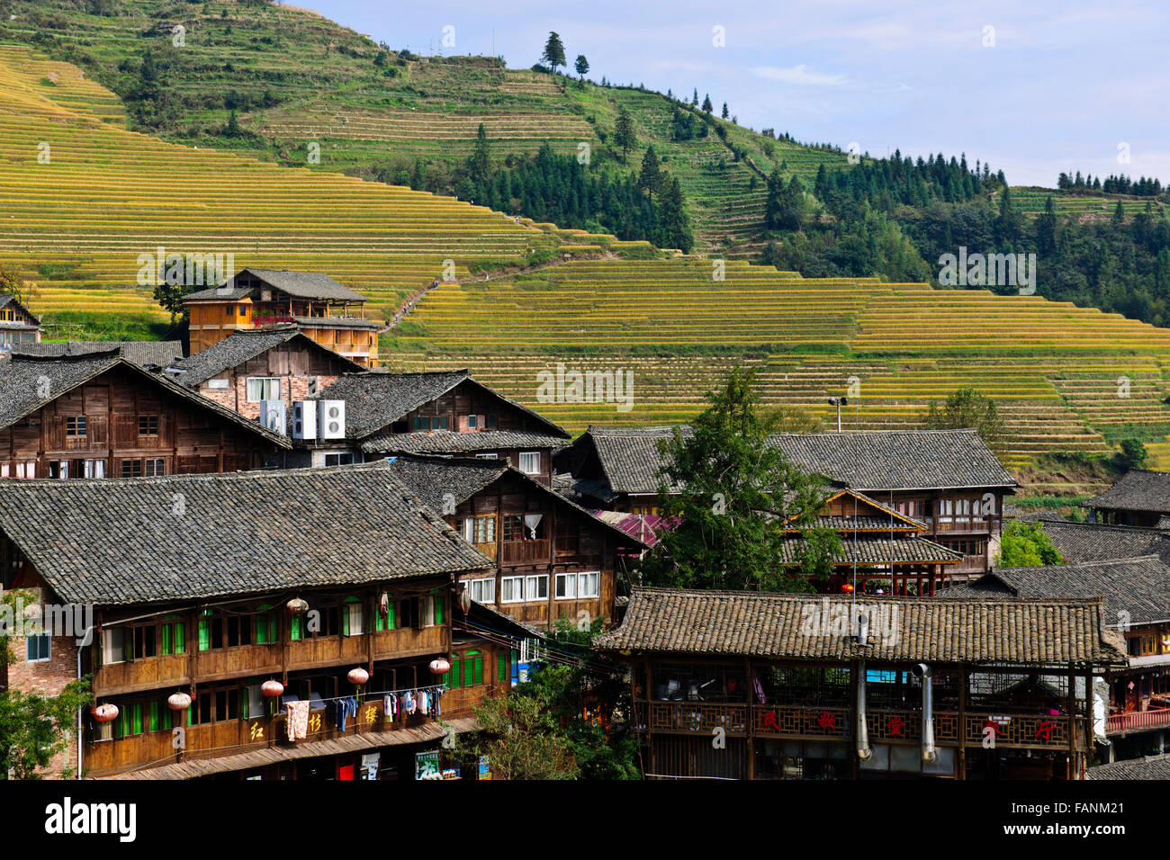 Longji Rice Terraces,Dazhai Villages, Surrounding Area,Rice Crops ...