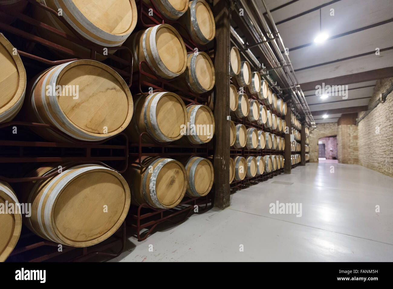 wooden barrels in rows at contemporary winery factory Stock Photo - Alamy