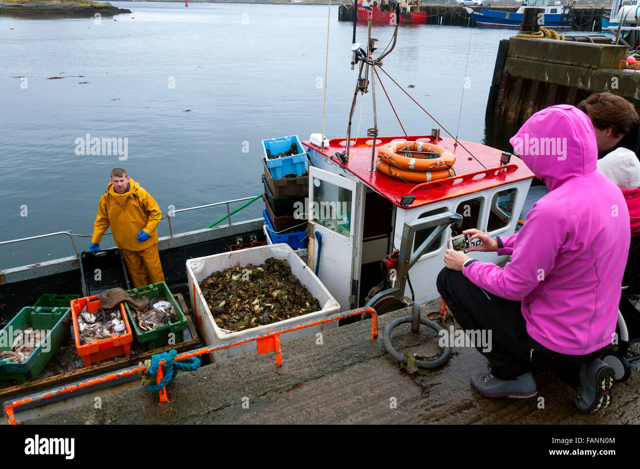 Crab looking out to sea hi-res stock photography and images - Alamy