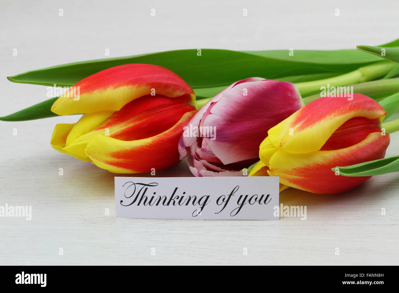 Colorful thinking hi-res stock photography and images - Alamy