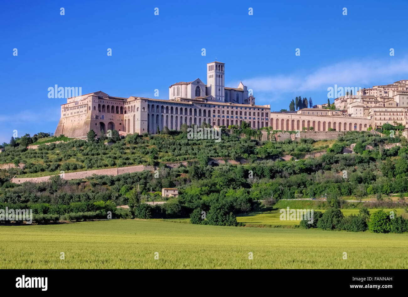 Kathedrale basilika st francis assisi hi-res stock photography and ...