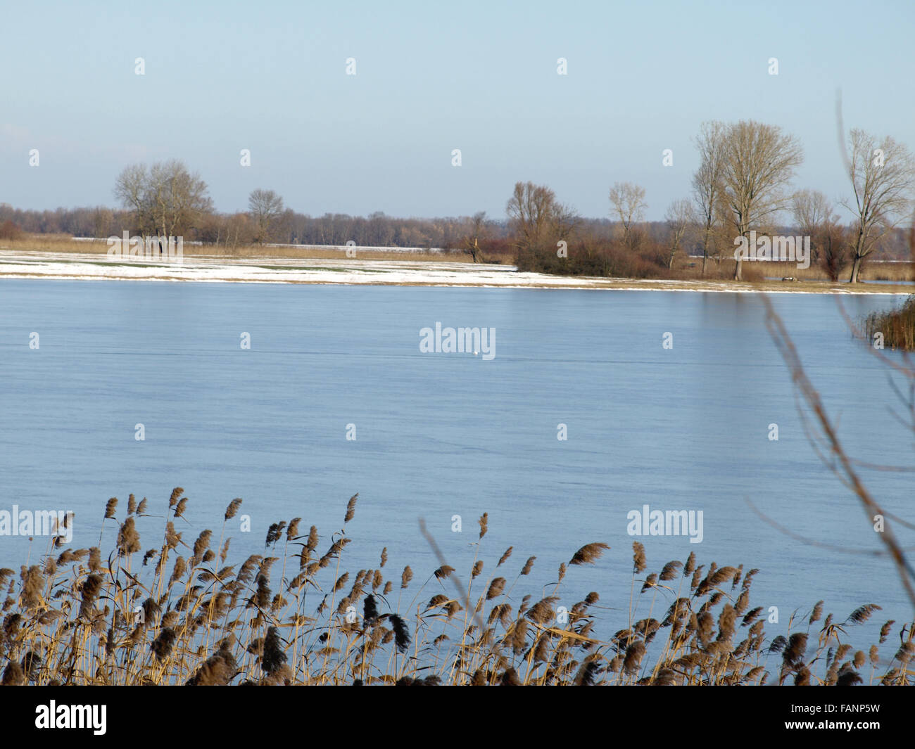 Swampy delta hi-res stock photography and images - Alamy