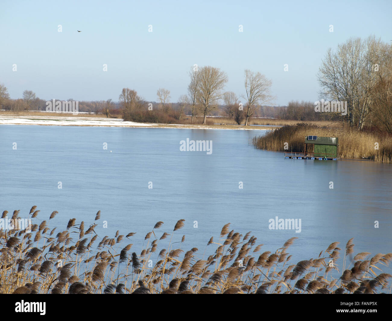 Swampy delta hi-res stock photography and images - Alamy