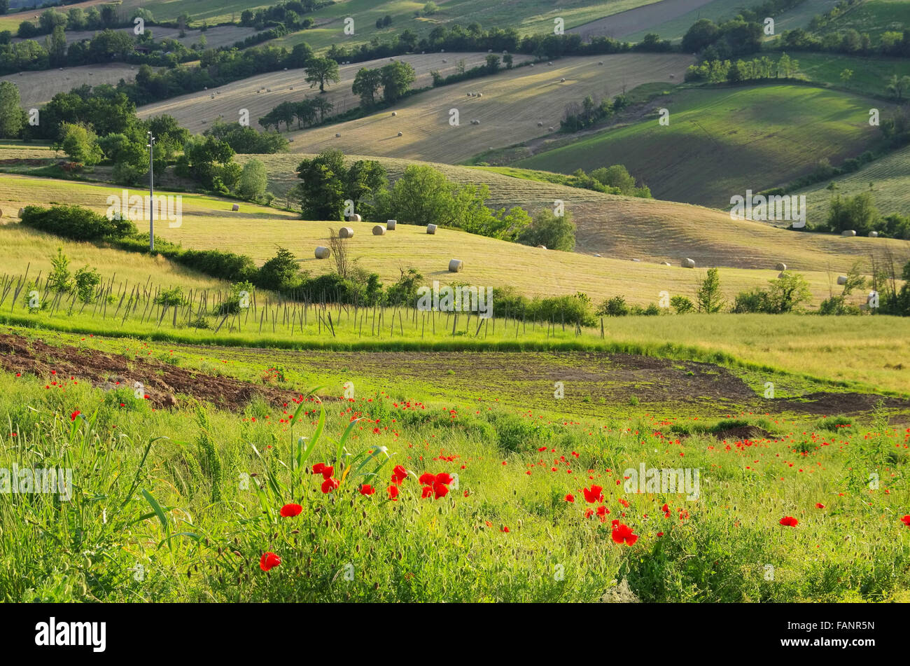 Emilia romagna landscape hi-res stock photography and images - Alamy