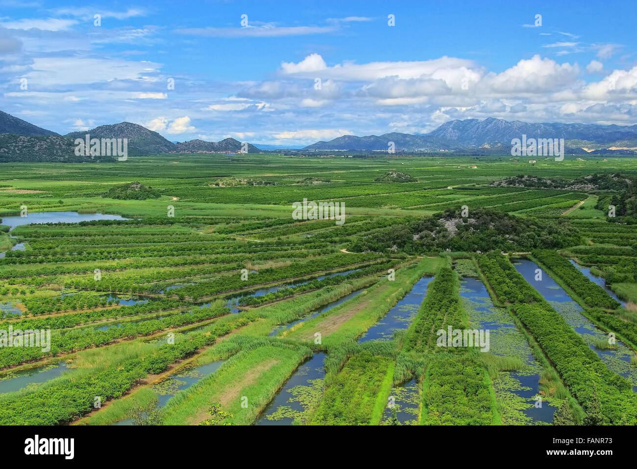 Neretva Delta 19 Stock Photo - Alamy