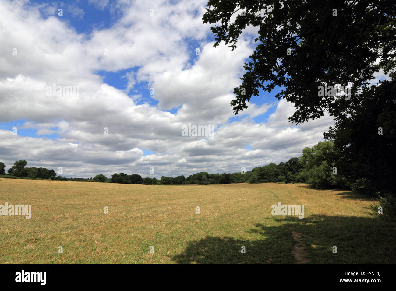 Leatherhead hi-res stock photography and images - Alamy