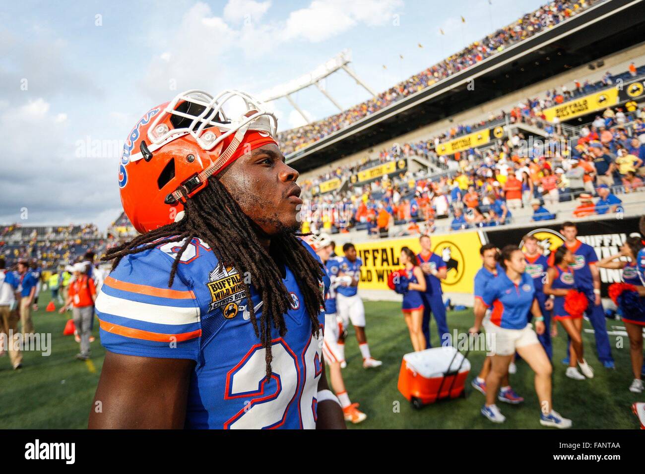 Between the michigan wolverines and the florida gators gators hi-res ...