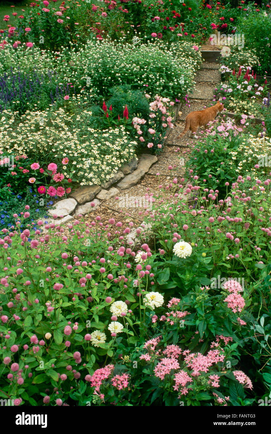 Pastel garden in bloom with pathway made of aggregate block pavers and ...
