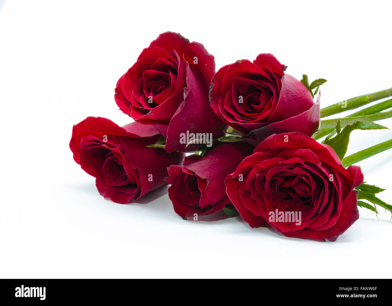 Red roses isolated on white background Stock Photo - Alamy