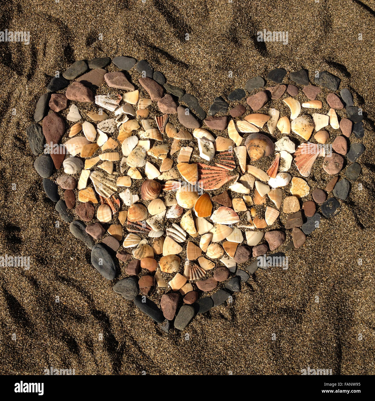 Heart shaped shells hi-res stock photography and images - Alamy