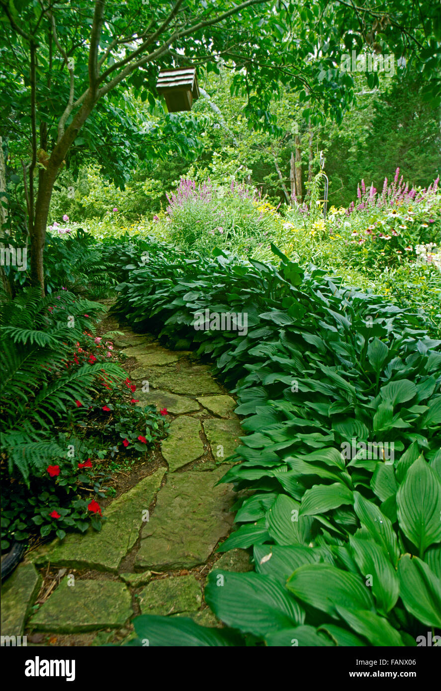 Shaded walkway hi-res stock photography and images - Alamy