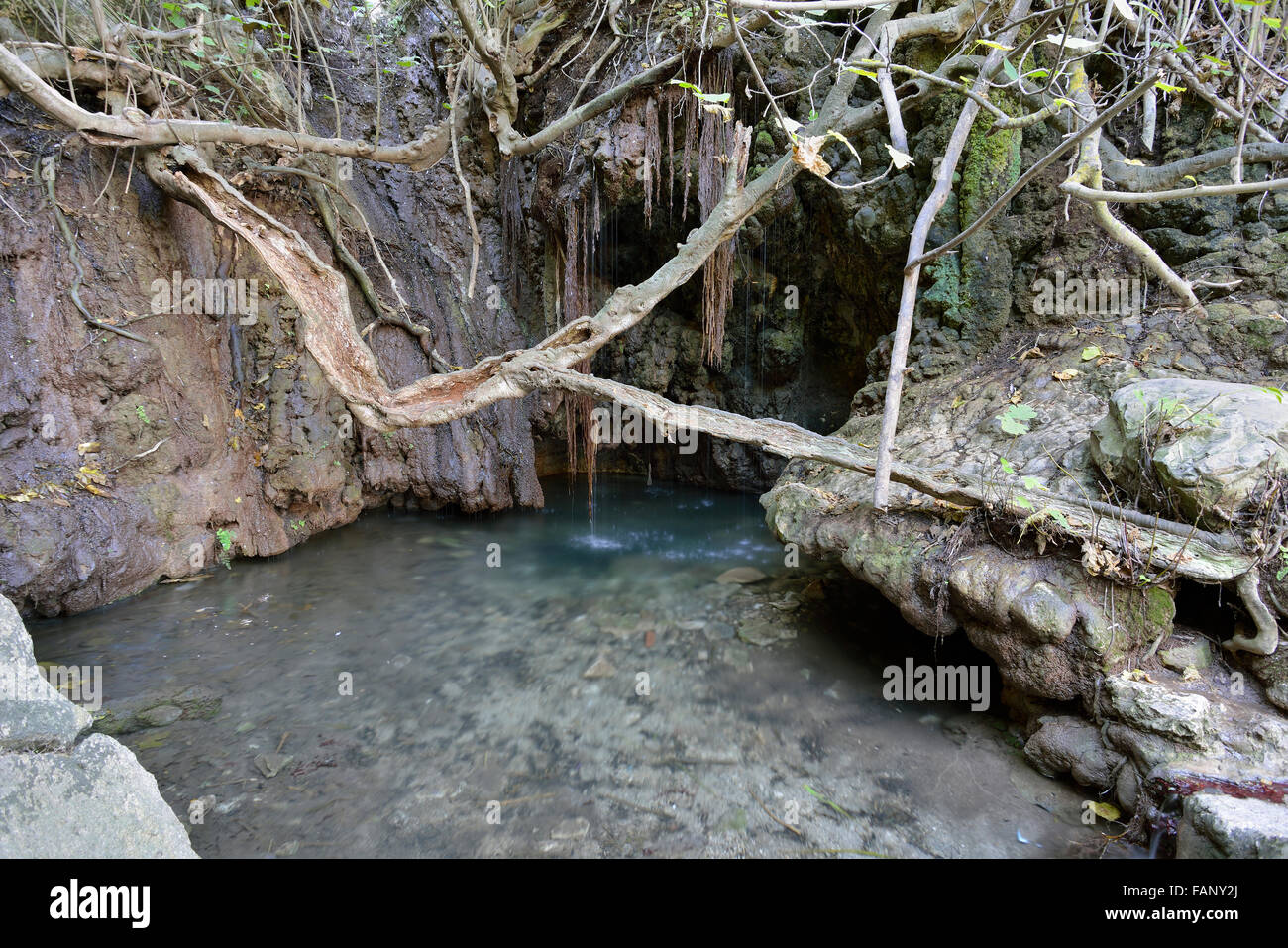 Baths of Aphrodite, spring fed pool on Akamas Peninsula, Cyprus Stock ...