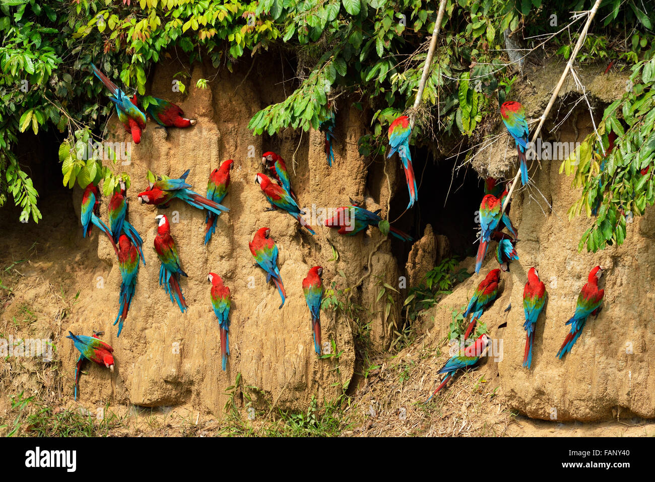 Red clay soil hi-res stock photography and images - Alamy