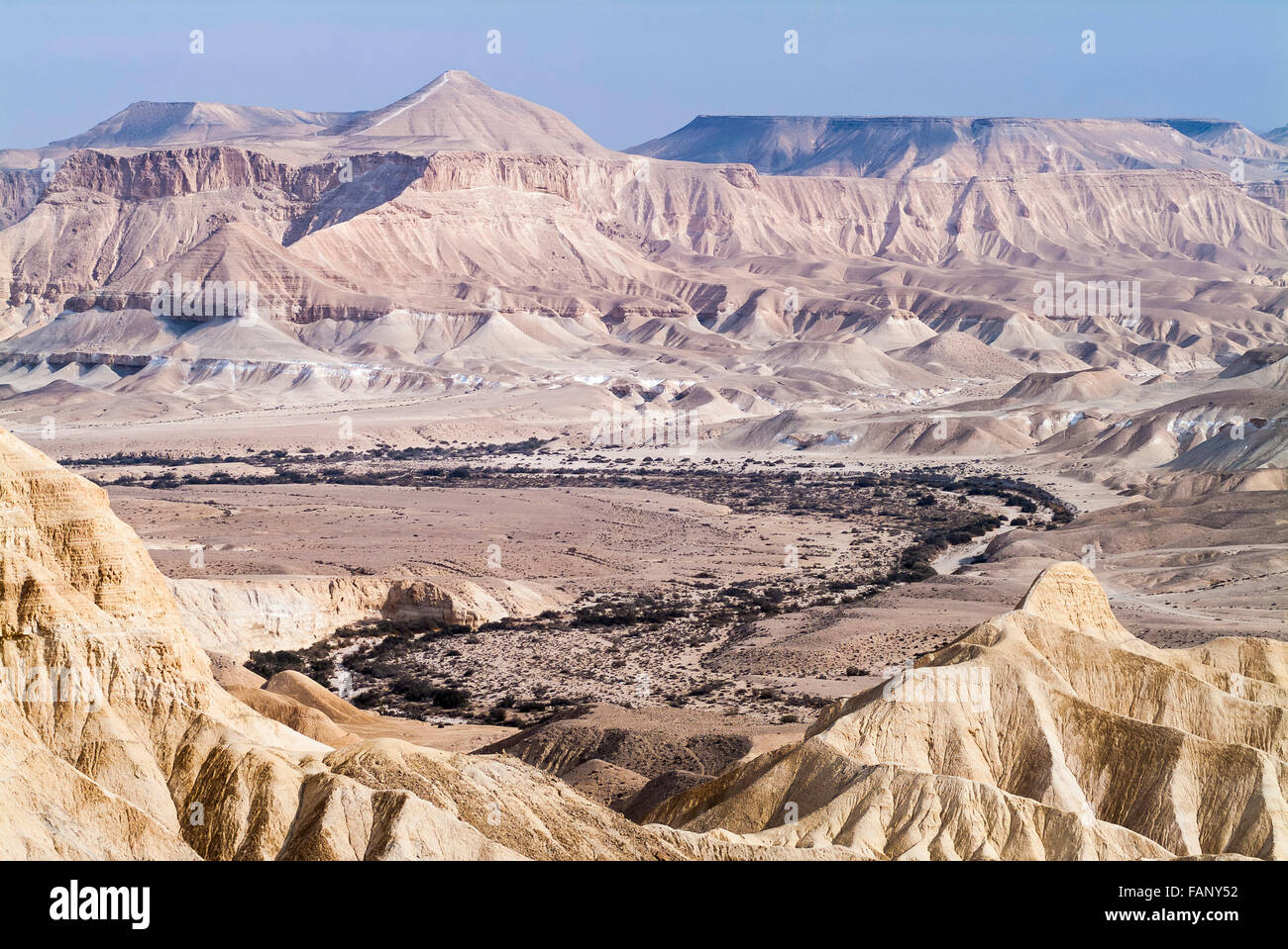 Wilderness of Zin, stone desert, part of the Negev Desert, headwaters of the Nahal Zin, at ...