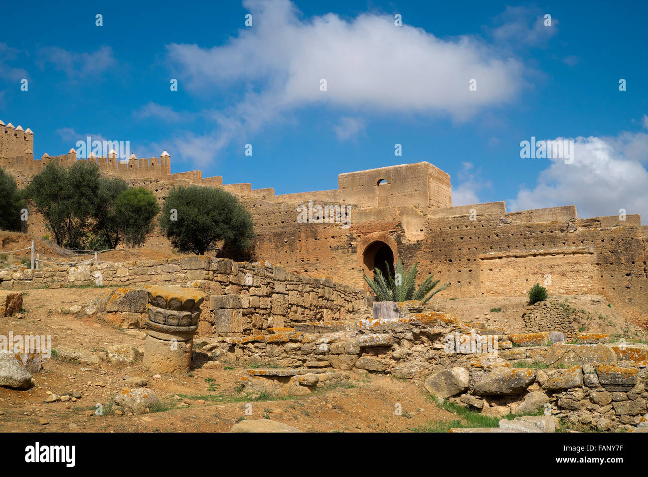 Ruins of the necropolis of Chellah, Rabat, Rabat province, Morocco ...
