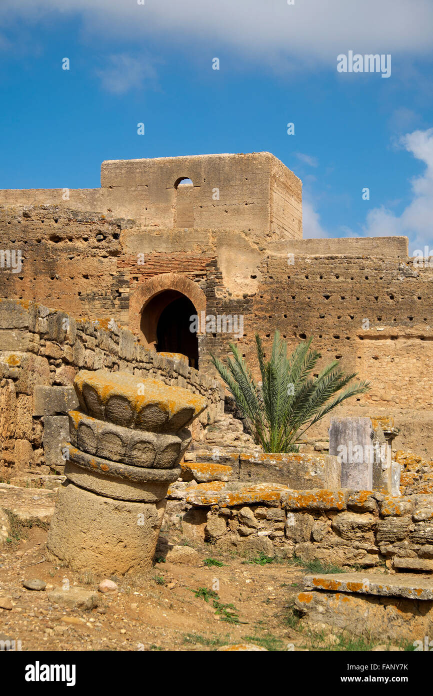 Ruins of the necropolis of Chellah, Rabat, Rabat province, Morocco ...