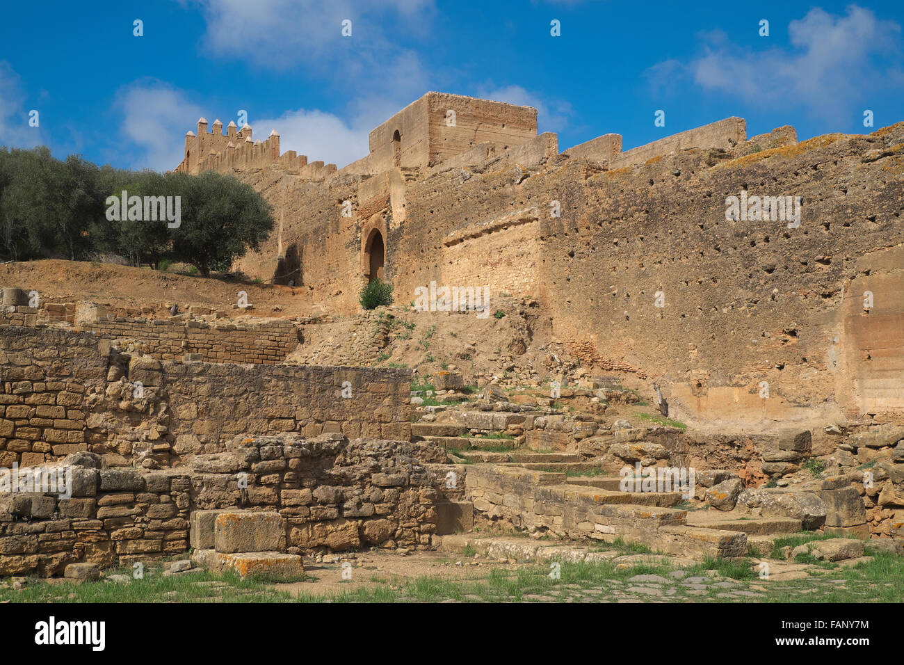 Ruins of the necropolis of Chellah, Rabat, Rabat province, Morocco ...