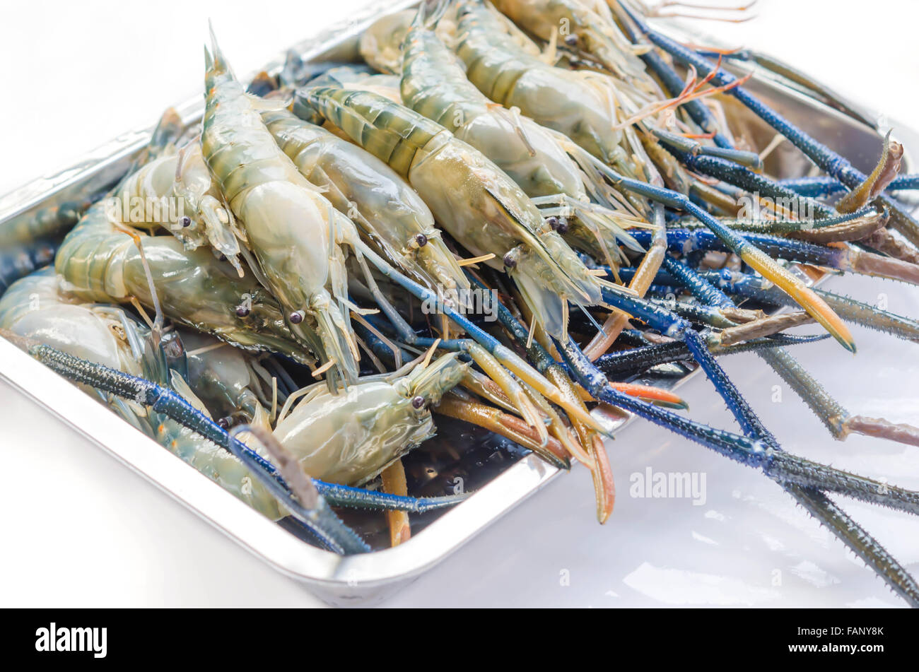 Giant River Prawn Is Ready To Grill Macrobrachium Rosenbergii Stock