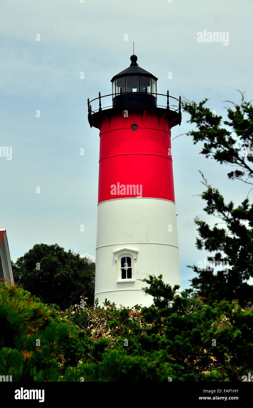 Shell lined beach hi-res stock photography and images - Alamy