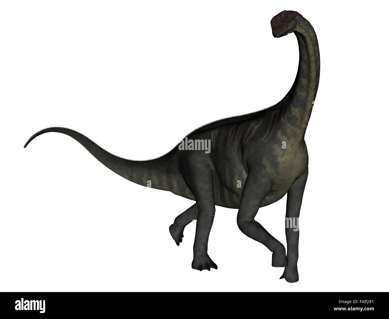 Jobaria dinosaur walking isolated in white background - 3D render Stock ...