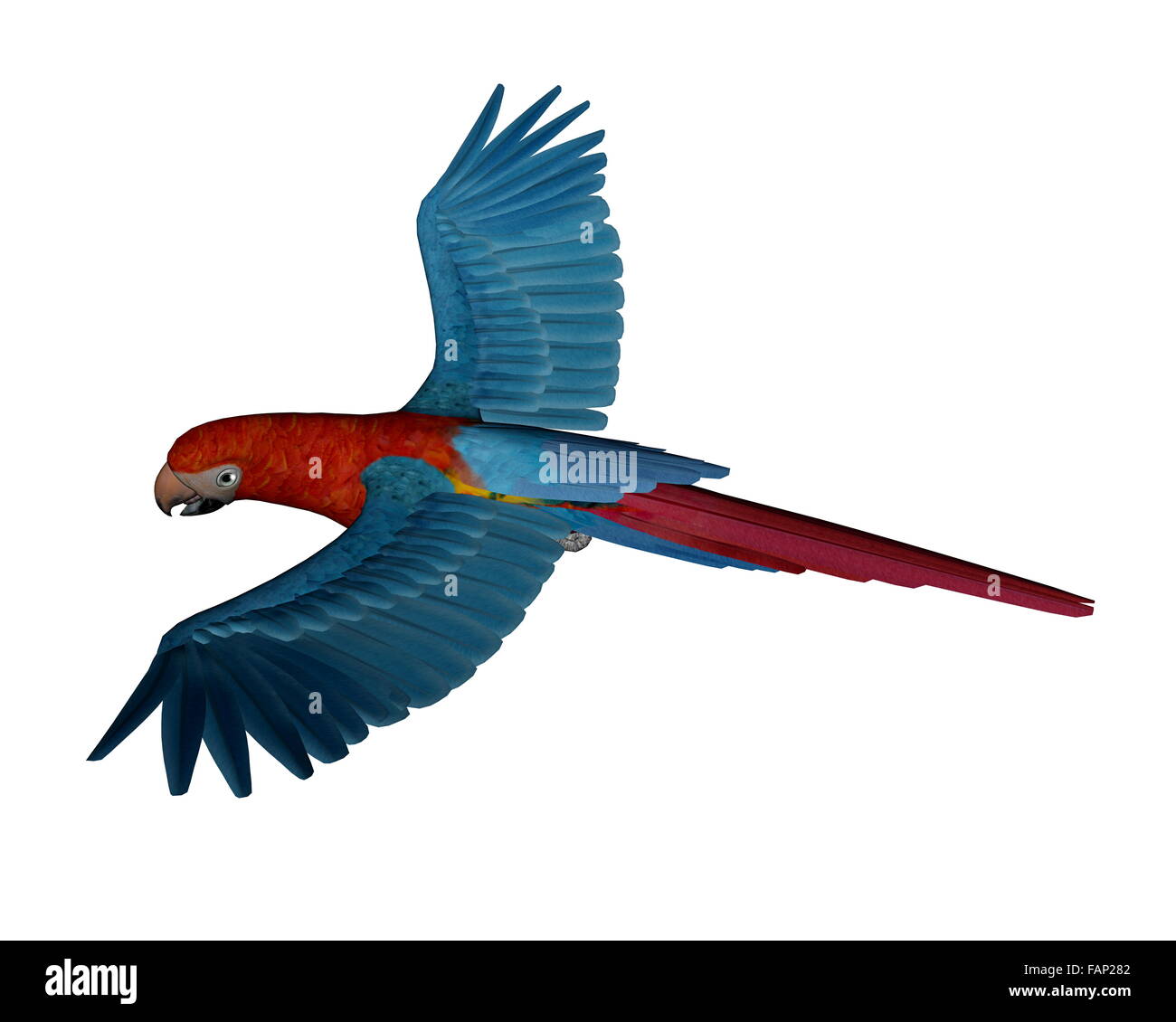 Scarlet macaw, parrot, flying isolated in white background - 3D render ...